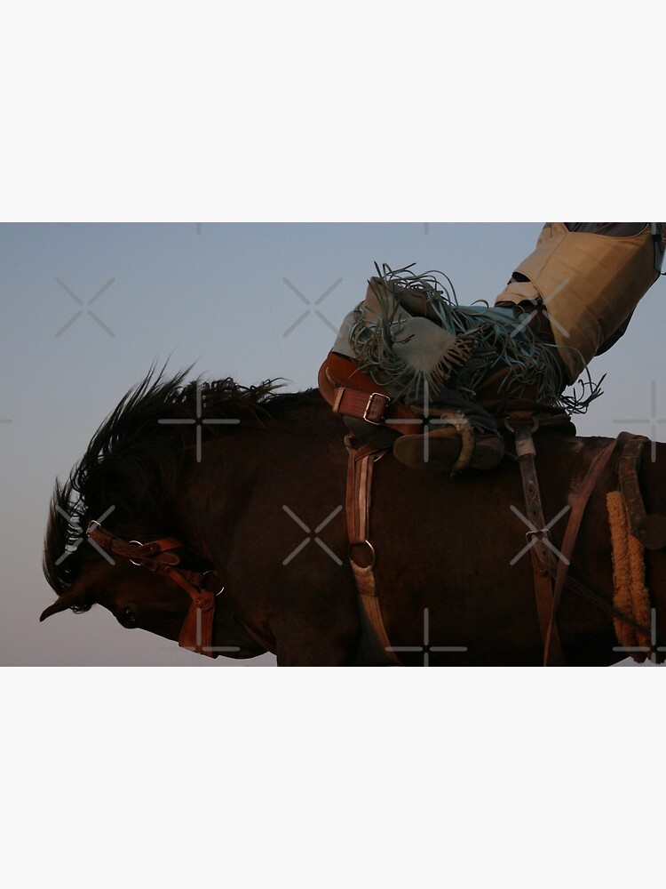 "Saddle Bronc Rider" Poster for Sale by Rodeo-Photos | Redbubble