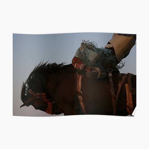 "Saddle Bronc Rider" Poster for Sale by Rodeo-Photos | Redbubble