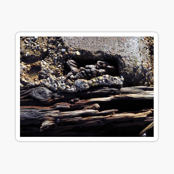 "Weathered Wood & Concrete" Sticker for Sale by wiggyofipswich | Redbubble