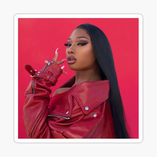 "Megan Thee Stallion" Sticker for Sale by TobyLozandro | Redbubble