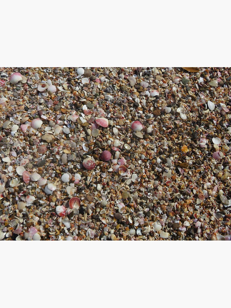"Sea Shells, Cancun Beach, Mexico" Sticker for Sale by StrongJourneys ...