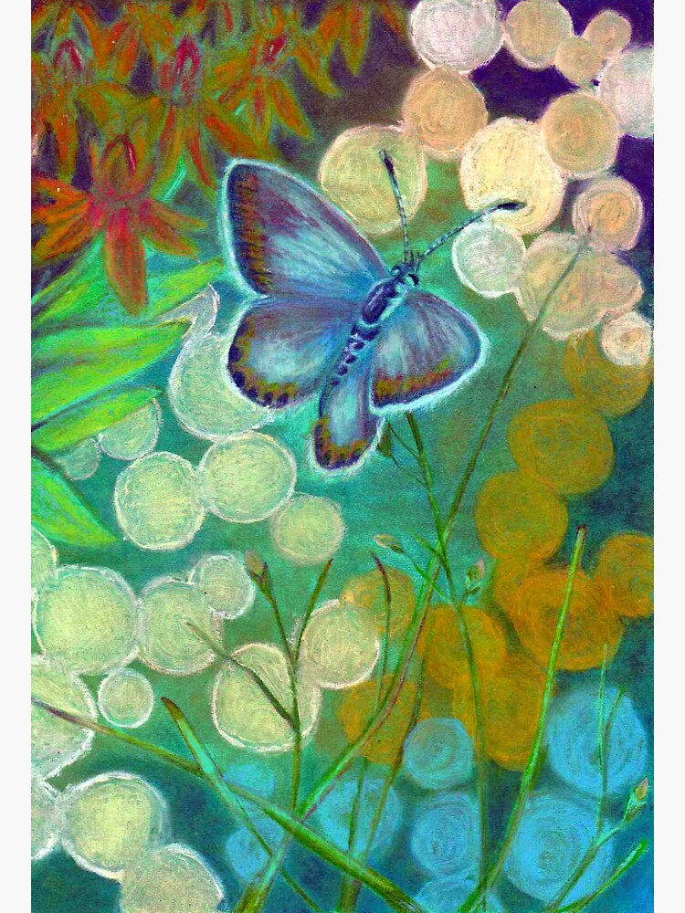 "Karner Blue Butterfly" Sticker for Sale by Jlynnhowe | Redbubble