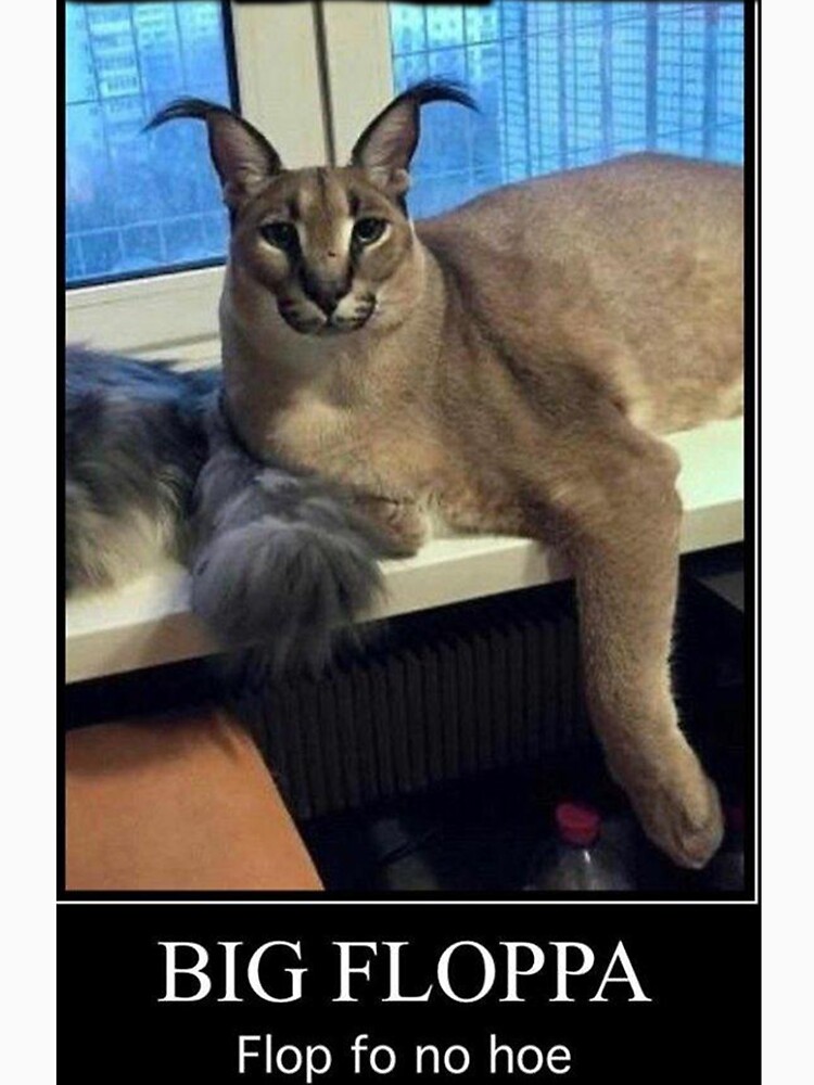 "Floppa T-Shirt" T-shirt for Sale by seller23 | Redbubble | floppa t ...