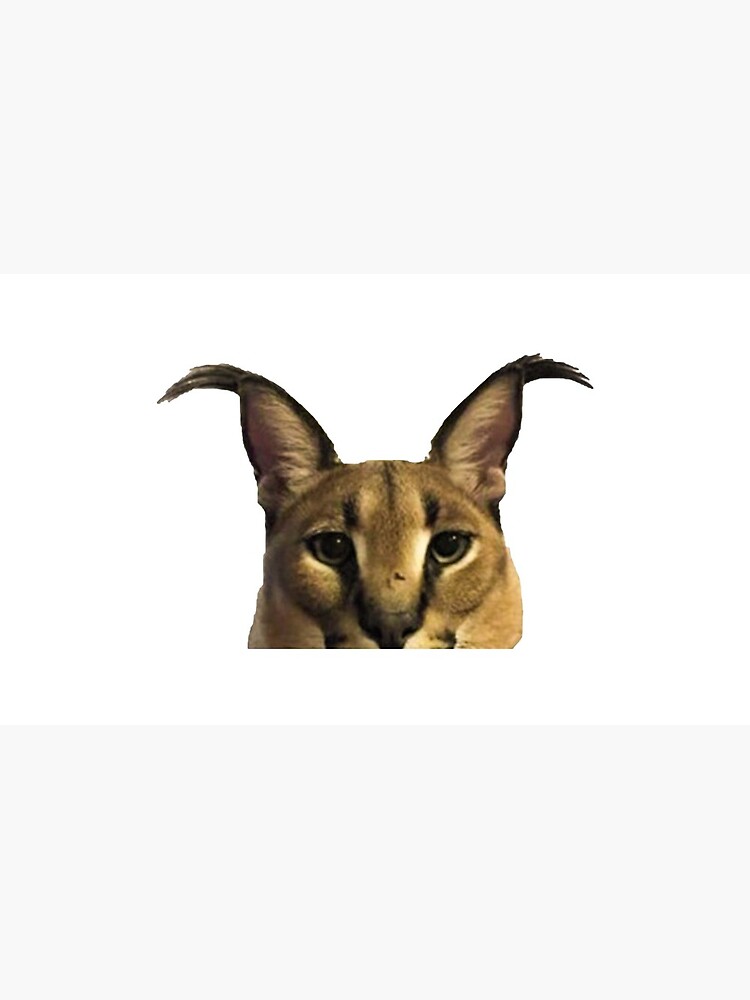 "Floppa peaking " Coffee Mug for Sale by seller23 | Redbubble