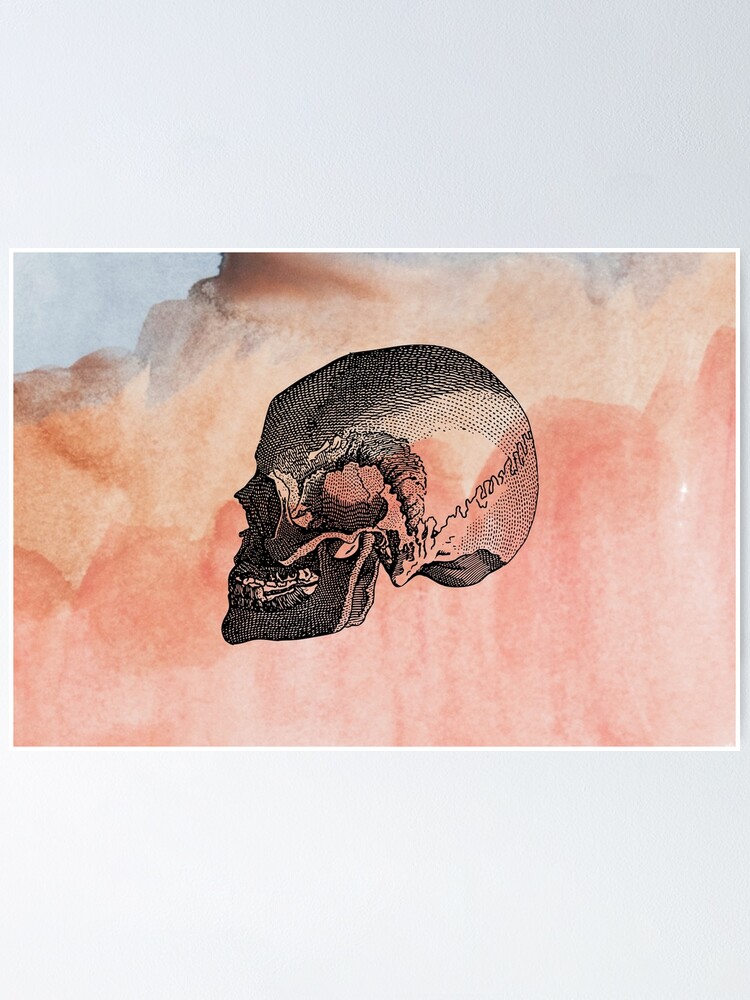 "Skull Art Work, Unique Skulls" Poster for Sale by ROSACALDOR | Redbubble