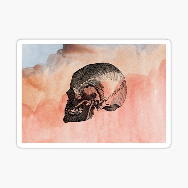 "Skull Art Work, Unique Skulls" Sticker for Sale by ROSACALDOR | Redbubble