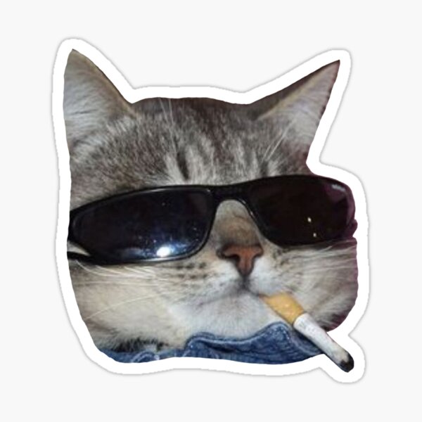 "cat with cig" Sticker for Sale by stickers4tiktok | Redbubble