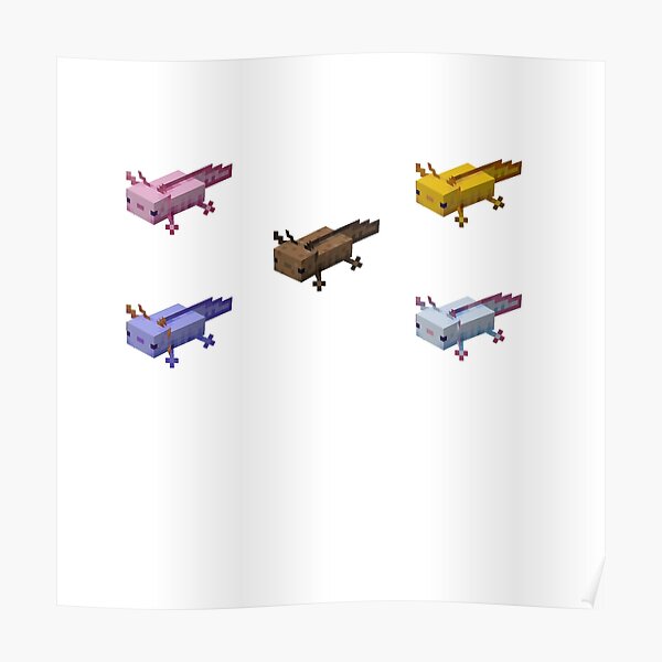 Poster: Minecraft Axolotl | Redbubble