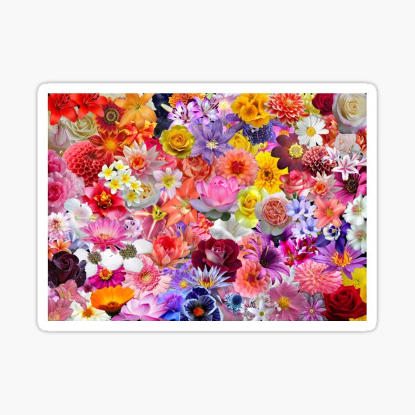 "Flower Collage" Sticker for Sale by shushii | Redbubble