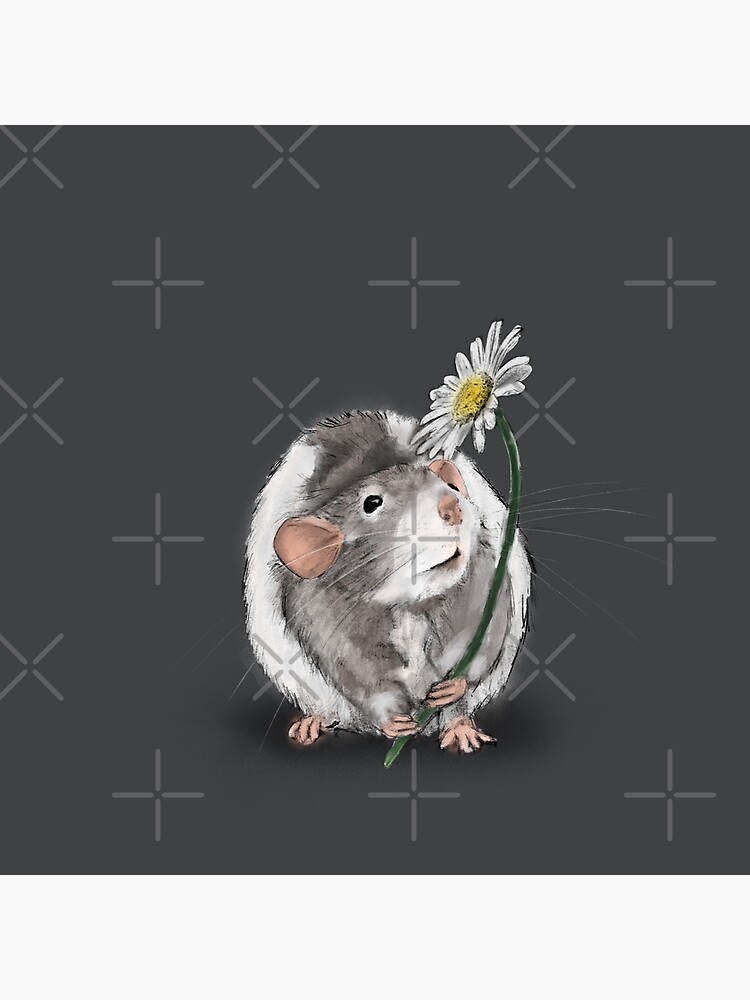 "A Rat and a Daisy - Dark Grey" Art Board Print for Sale by Doodle-Pip ...