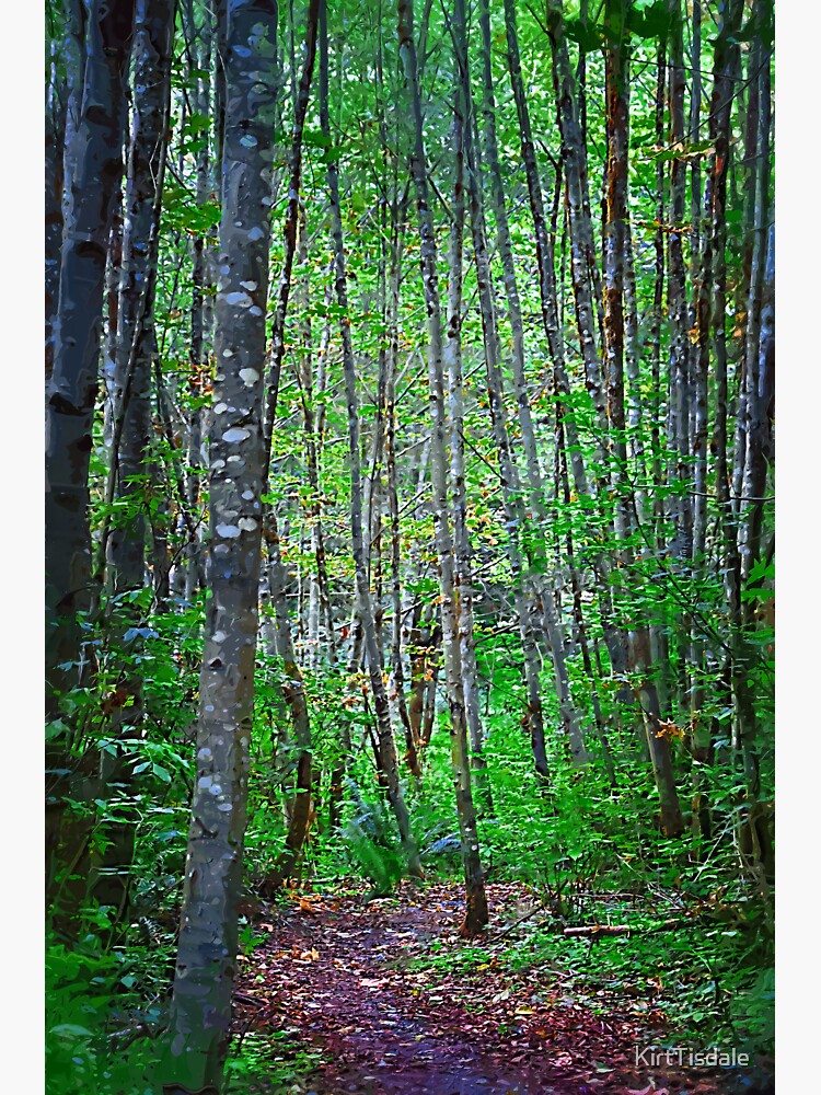 "Skinny Tree Trunks" Sticker for Sale by KirtTisdale | Redbubble