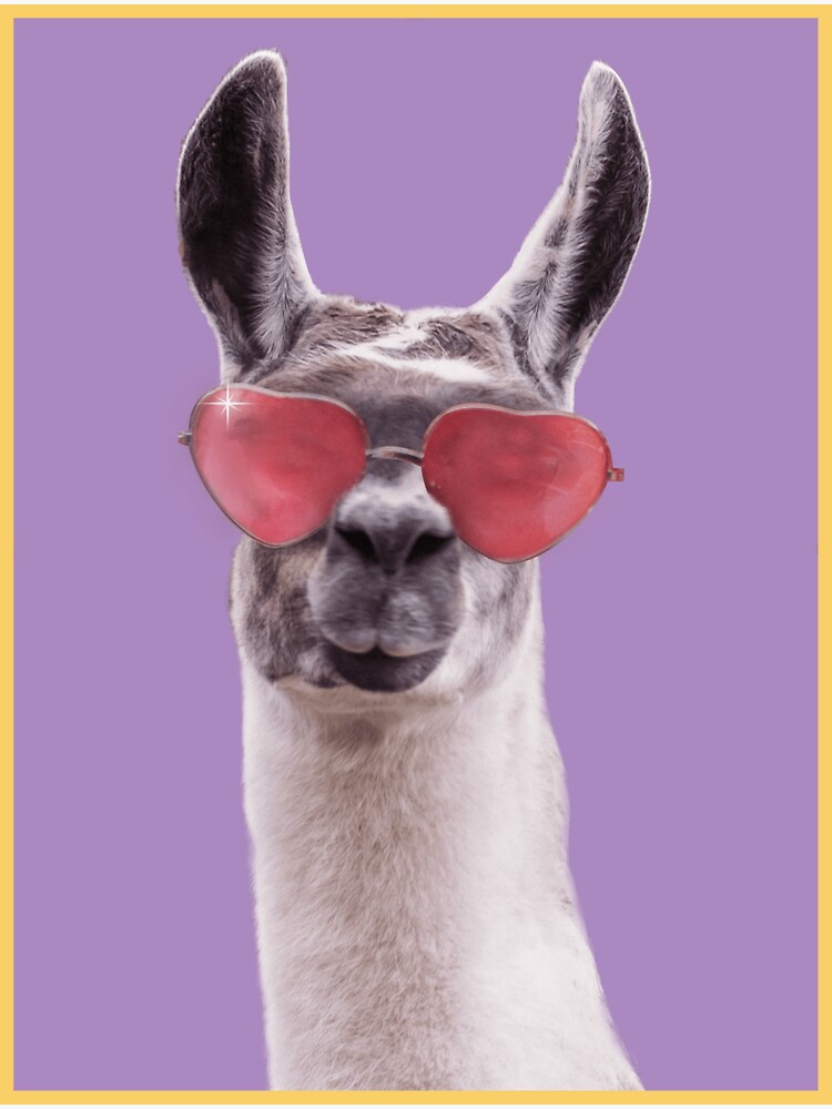 "Cool Llama" Sticker for Sale by RedsStickerShop | Redbubble