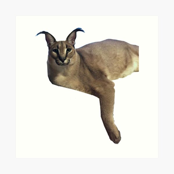 "Big Floppa" Art Print by BallyX | Redbubble