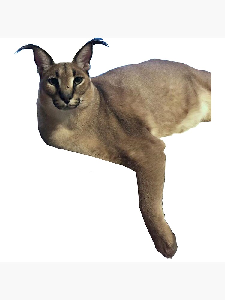 "Big Floppa" Art Print by BallyX | Redbubble