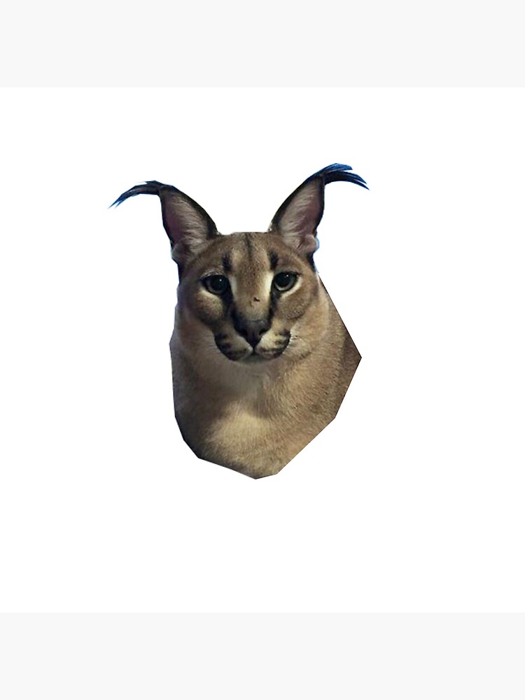 "Big Floppa" Photographic Print for Sale by BallyX | Redbubble