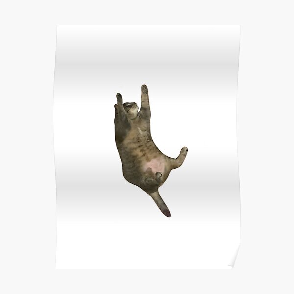 "Flying fat cat meme sticker " Poster for Sale by acvunlimited | Redbubble