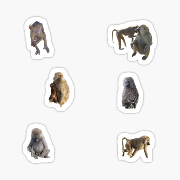 "Cute Baboon African Wildlife Photography Stickerpack" Sticker by ...