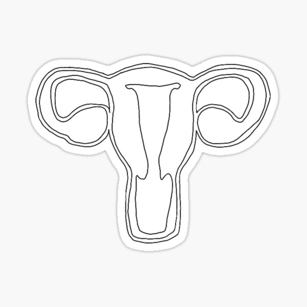 "Uterus" Sticker for Sale by JJBarnesArt | Redbubble