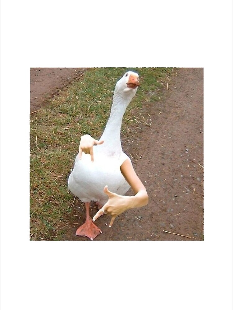 "Swagged out Goose" Poster for Sale by CapriFun | Redbubble
