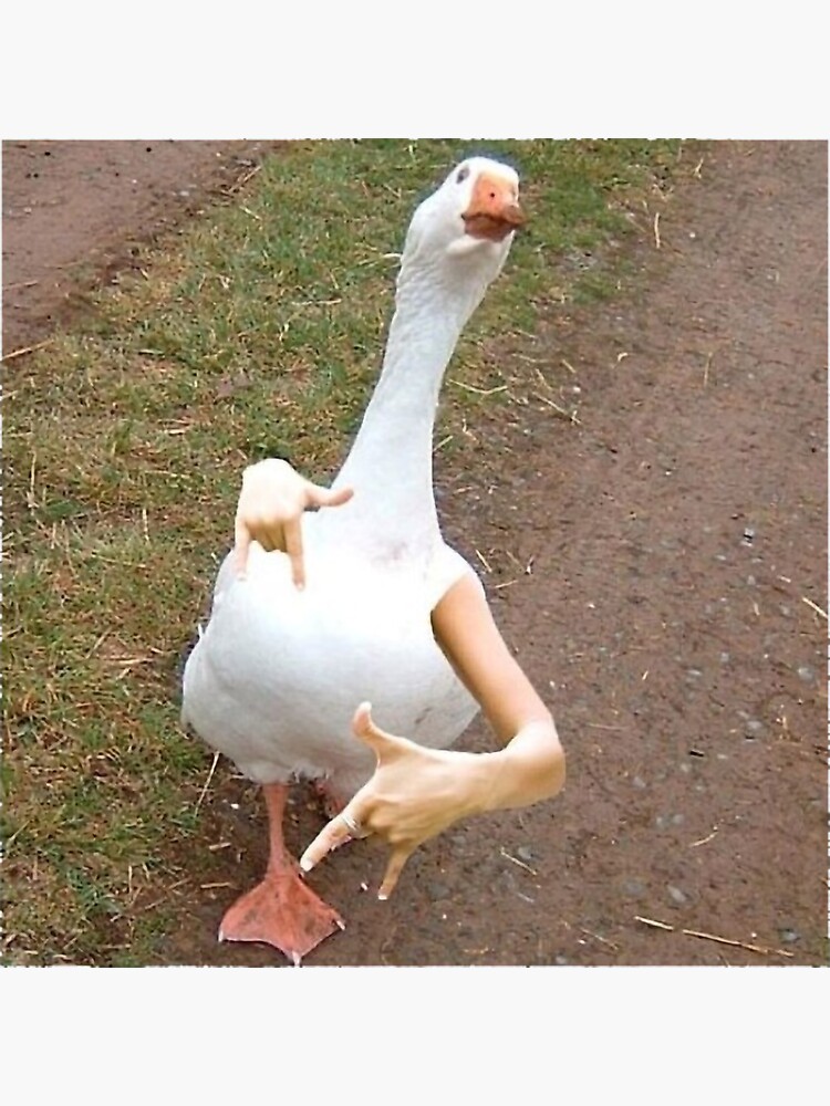 "Swagged out Goose" Sticker for Sale by CapriFun | Redbubble