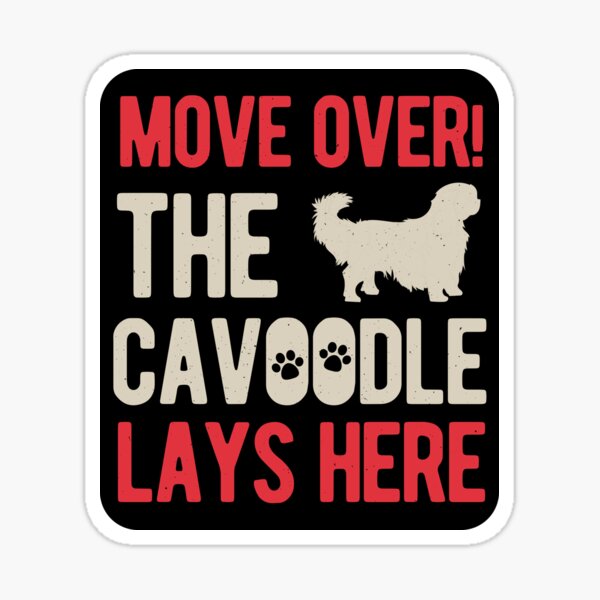 "Funny Cavoodle" Sticker for Sale by artworkbyrihen | Redbubble
