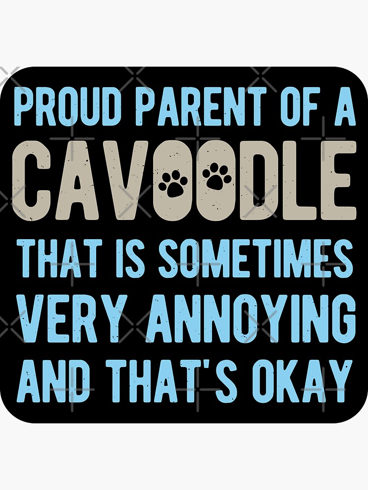 "Funny Cavoodle" Sticker by artworkbyrihen | Redbubble