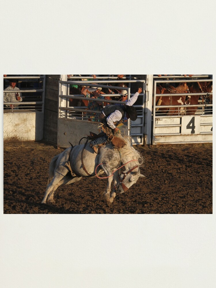 "Saddle Bronc Rider busting from chutes" Photographic Print for Sale by ...