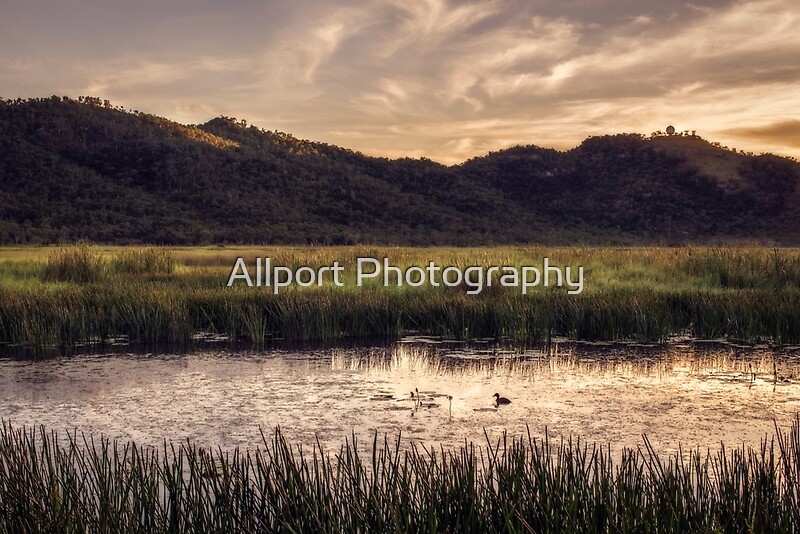 "Townsville Wetlands, Qld Australia" by Allport Photography | Redbubble