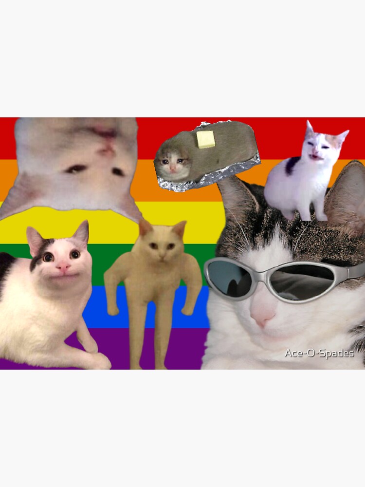 "Meme Cat Pride Flag" Sticker for Sale by Ace-O-Spades | Redbubble