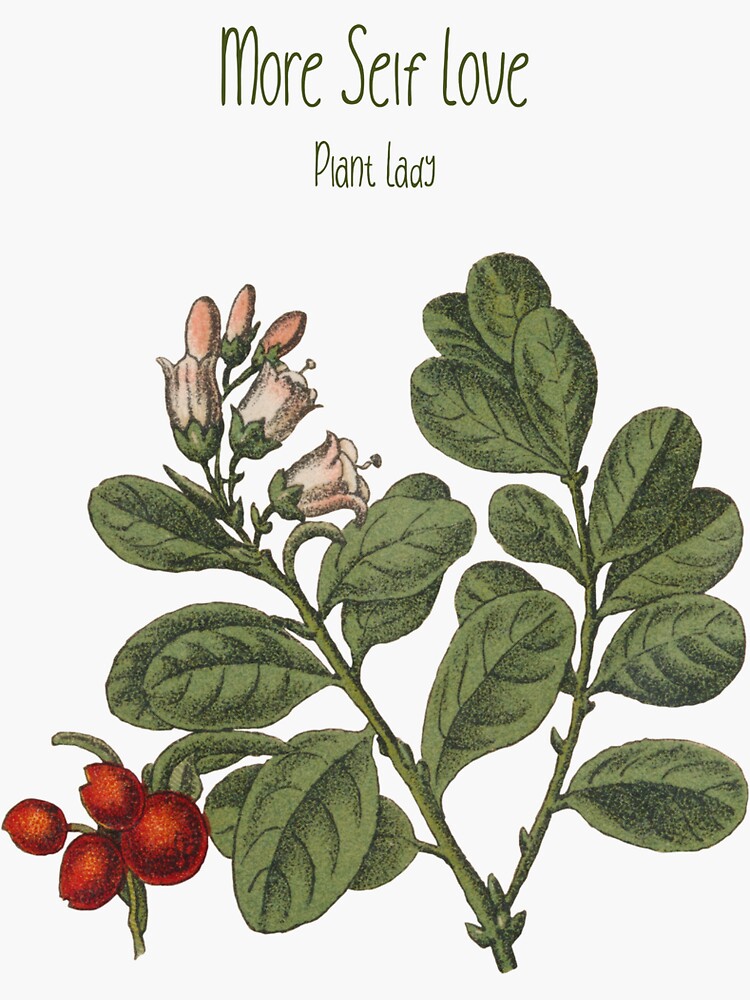 "Nature inspired" Sticker by jarmila80 | Redbubble