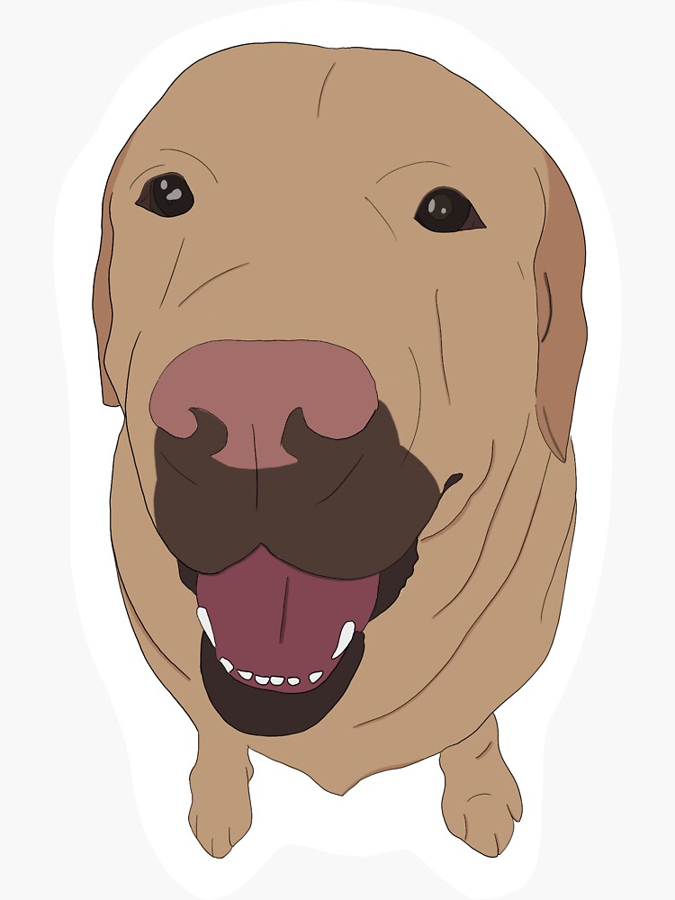 "Yellow Lab" Sticker for Sale by maddy-maroney | Redbubble