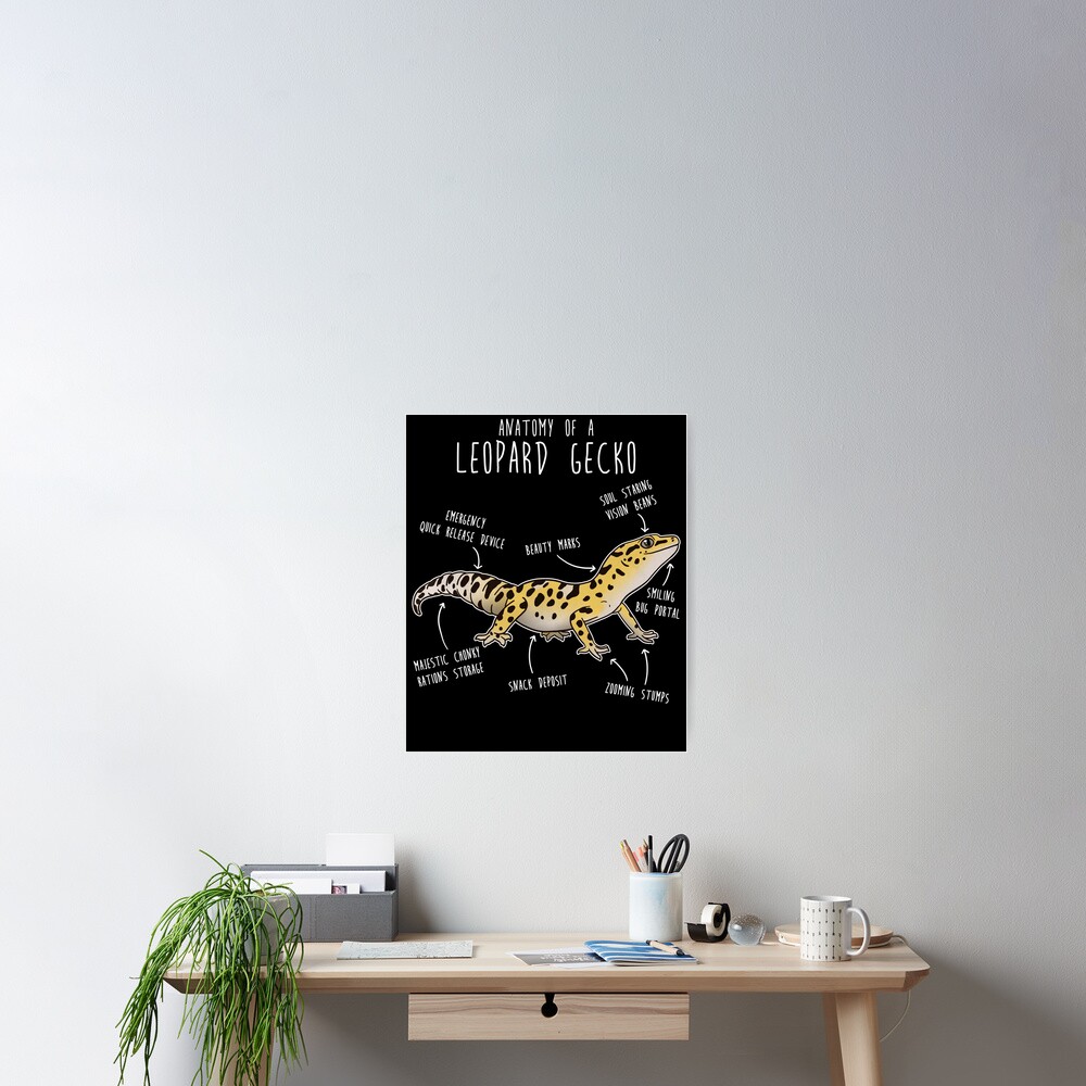 "Anatomy of a Leopard Gecko" Poster for Sale by Psitta | Redbubble