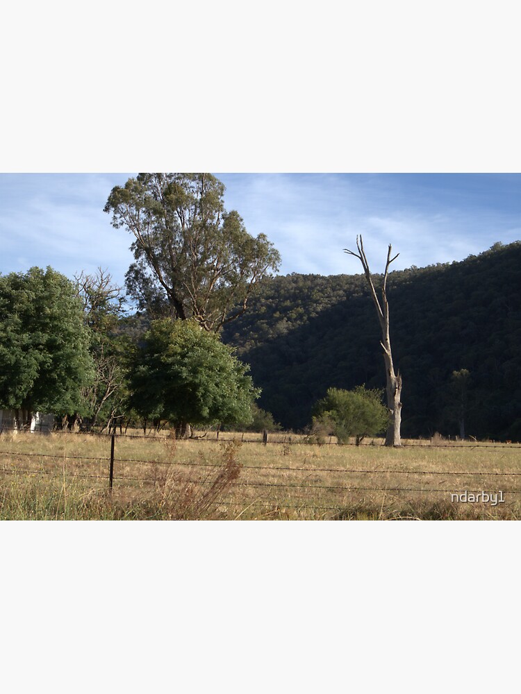 "One dead tree." Sticker for Sale by ndarby1 | Redbubble