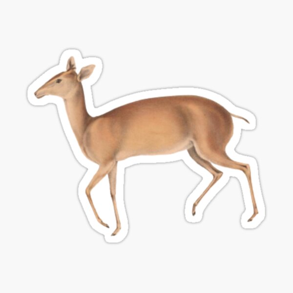 "Zoology South Africa Mammals" Sticker for Sale by MyFreshPrints ...