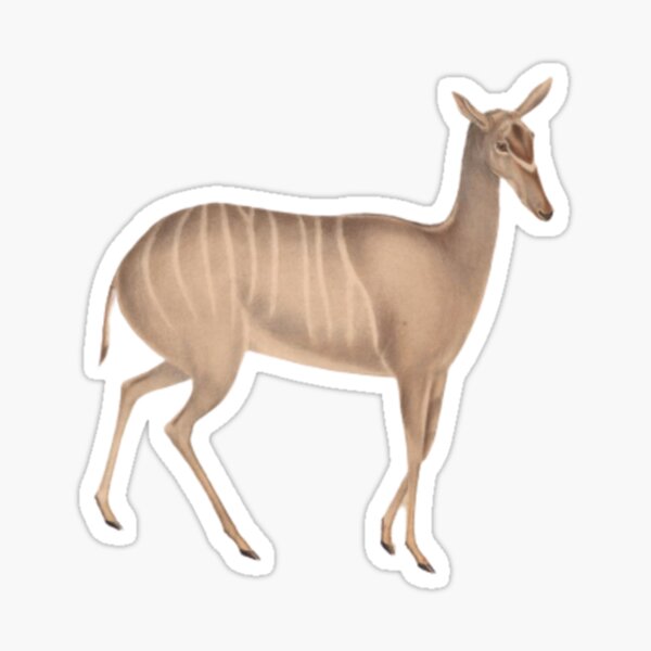 "Zoology South Africa Mammals" Sticker for Sale by MyFreshPrints ...