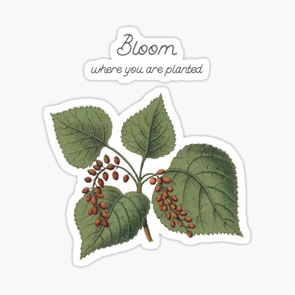 "Nature inspired" Sticker by jarmila80 | Redbubble