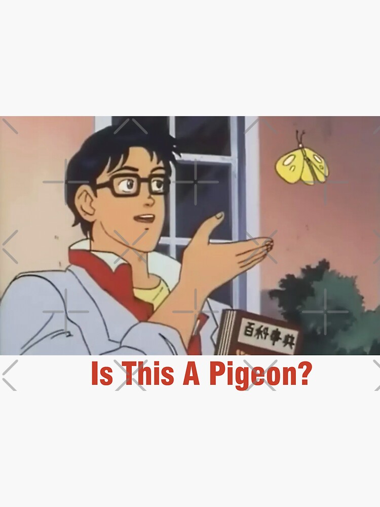 "Is This A Pigeon? Meme" Sticker for Sale by Zebstore | Redbubble