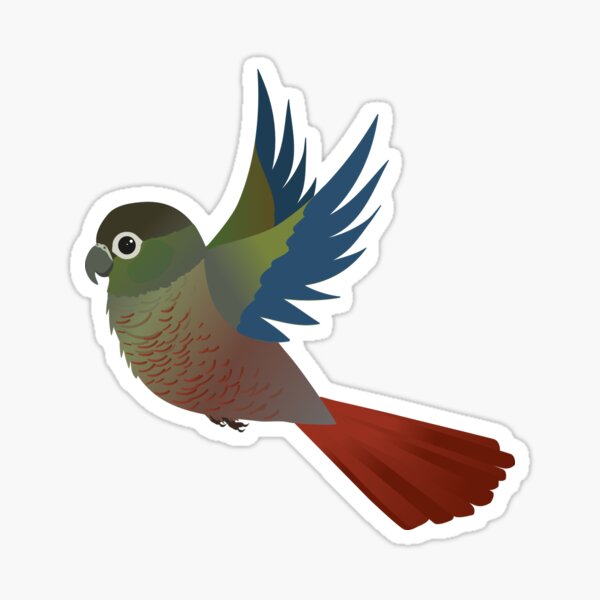 "Flying Green-cheeked conure" Sticker for Sale by Bwiselizzy | Redbubble