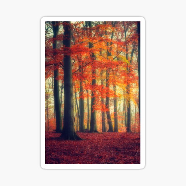 "Dreamy Fall Reds" Sticker by DyrkWyst | Redbubble
