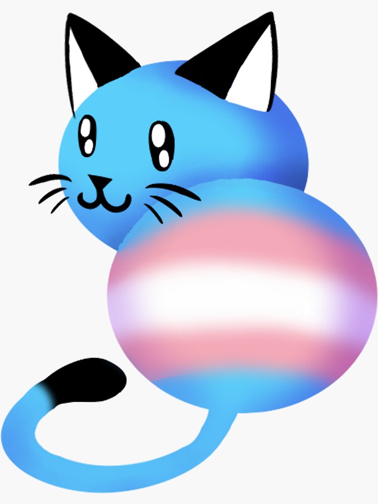 "Trans pride cat " Sticker for Sale by Pxlo-drawings | Redbubble