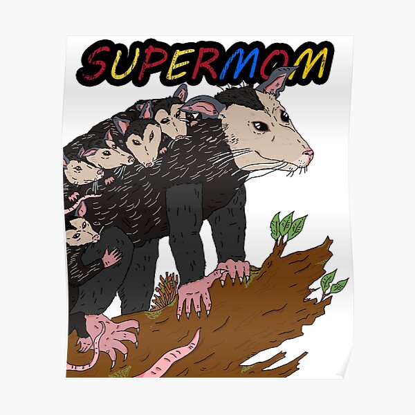 "possum with her children a super mother" Poster by ragnacold | Redbubble