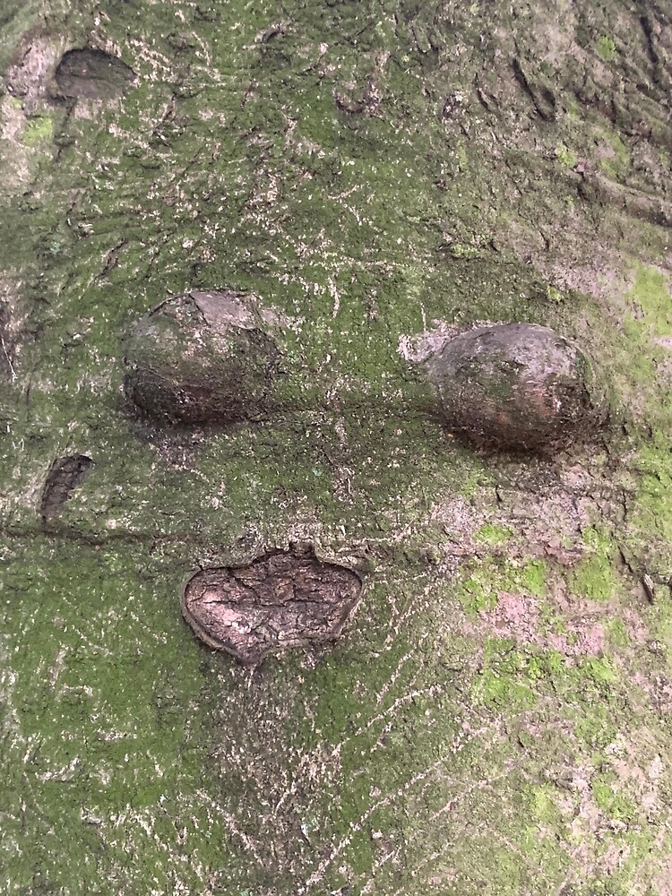 "Nature photo, tree face, moss, decorative, autumn, smile, smiley ...