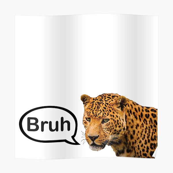 Póster «Regalo divertido divertido del diseño del meme de Tiger Bruh ...