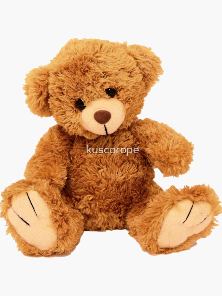 "hey teddy" Sticker by kuscorope | Redbubble