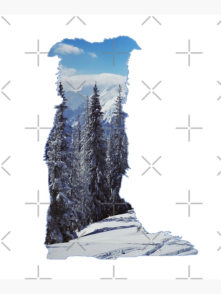 "Border Collie Alpine Trees Double Exposure Silhouette" Art Print by ...