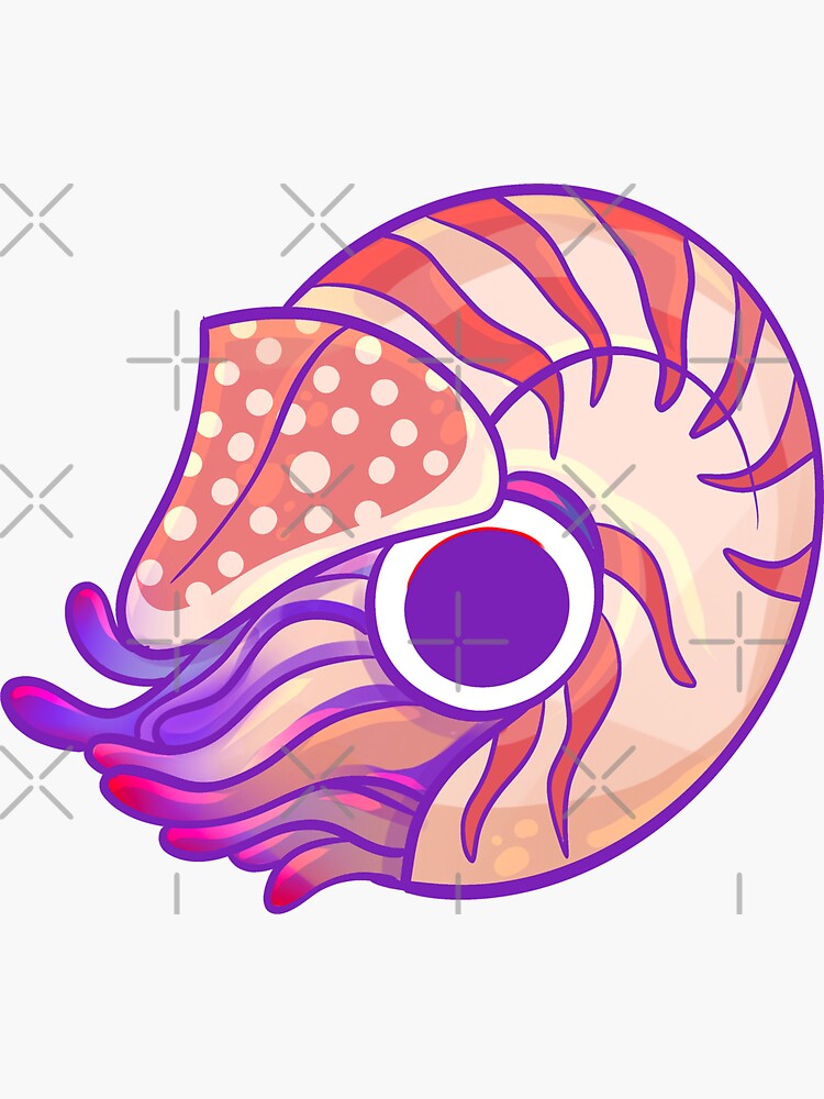 "Cute Nautilus" Sticker for Sale by GalaxyChicken | Redbubble