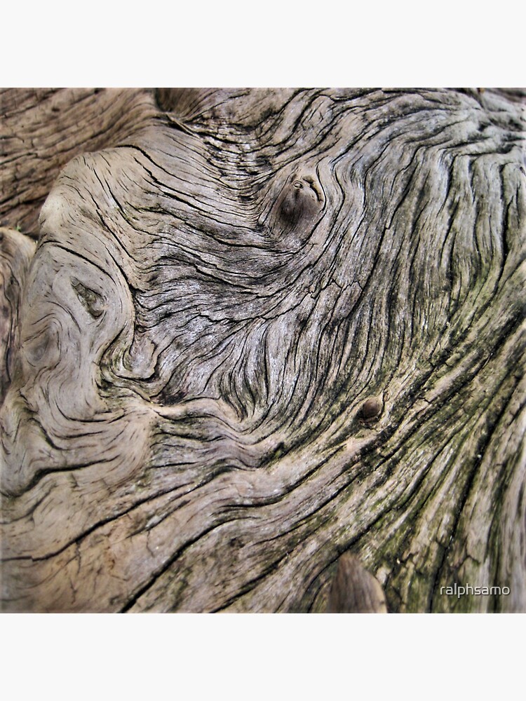 "Wood Flow" Sticker for Sale by ralphsamo | Redbubble