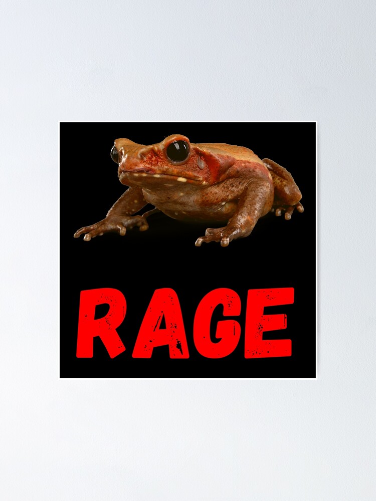 "Rage Frog" Poster by Sus-Snail-Co | Redbubble