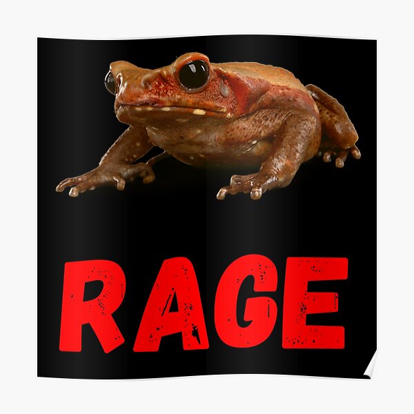 "Rage Frog" Poster by Sus-Snail-Co | Redbubble