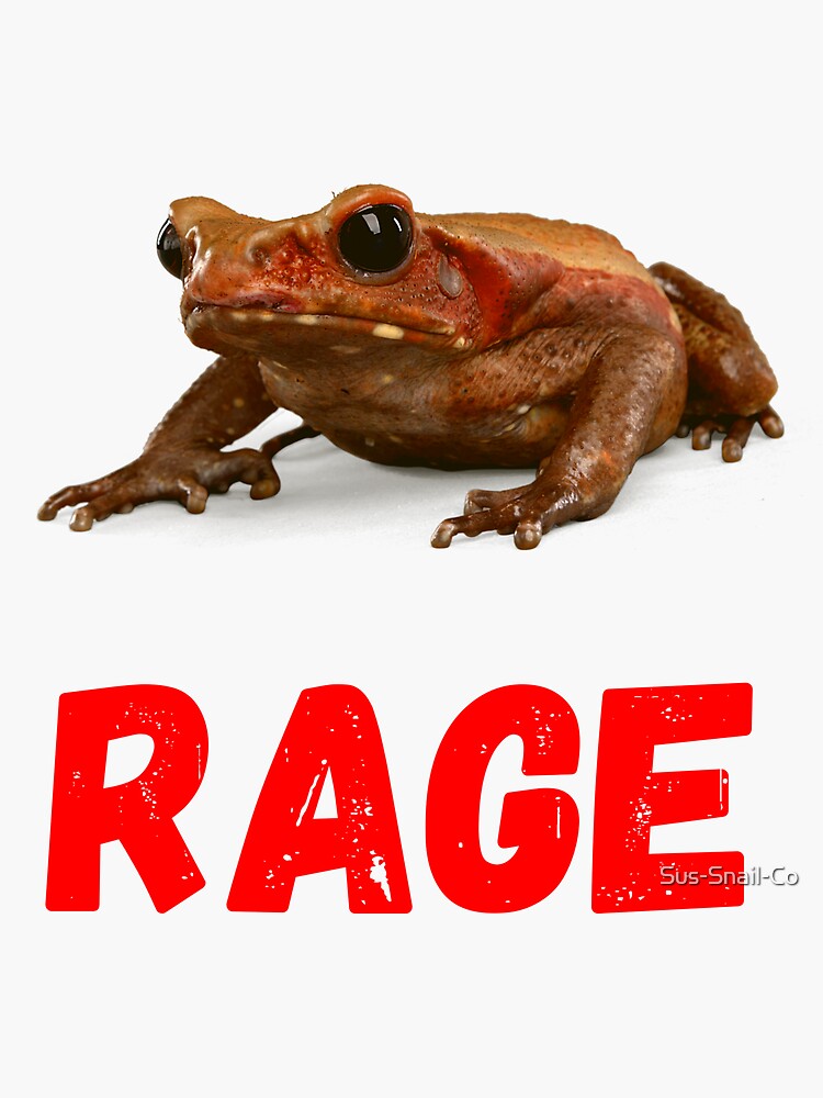 "Rage Frog" Sticker for Sale by Sus-Snail-Co | Redbubble